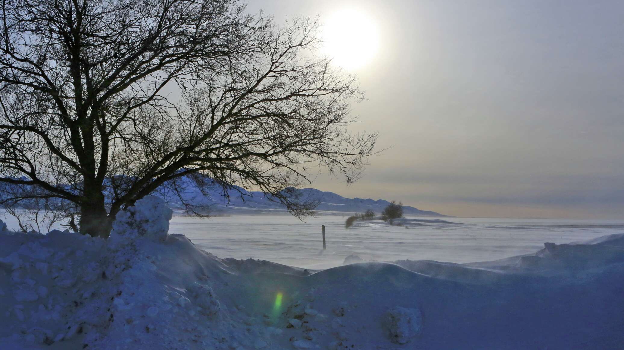 Ақмола облысында жеті баланың әкесі екі жарым айдан бері табылмай жатыр ...